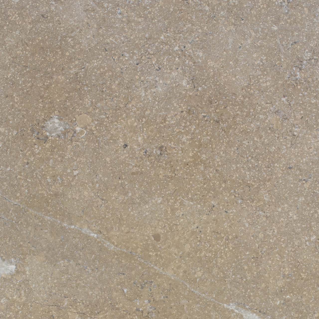 Fossil Pearl Tumbled Grip Limestone - Cranbourne Stone